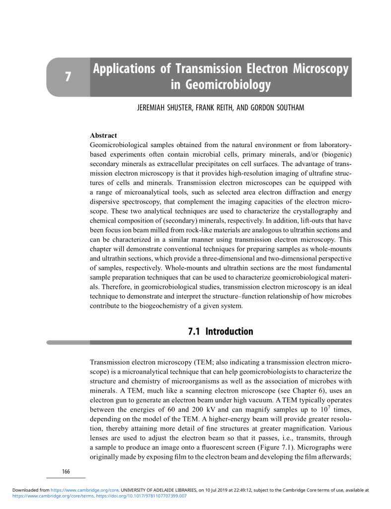 Barbara Etschmann | The man with the gold bug